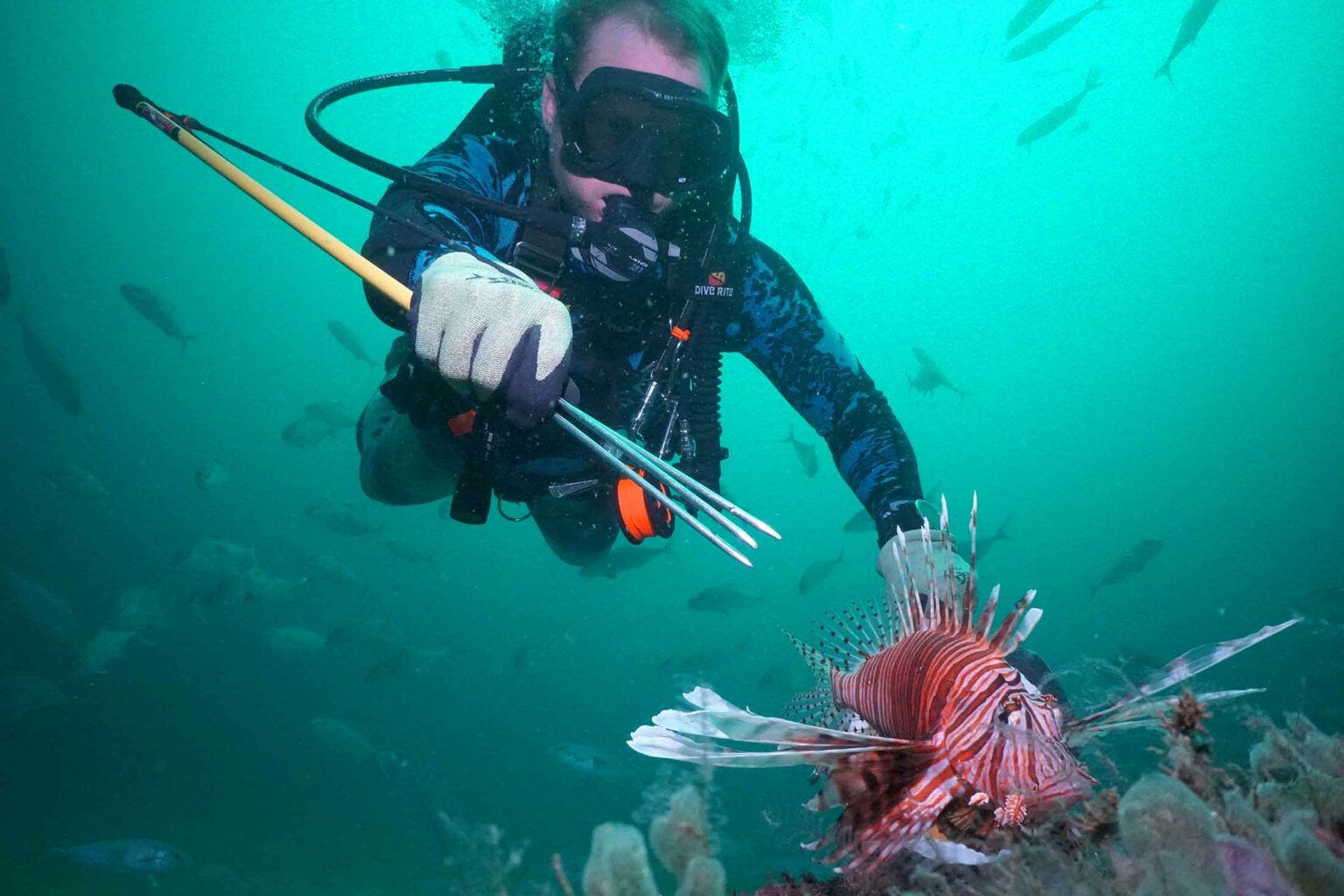 World’s largest Lionfish Tournament returns to Destin-Fort Walton Beach ...