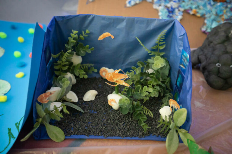 Second graders at Mary Esther Elementary dive into research with fun ...