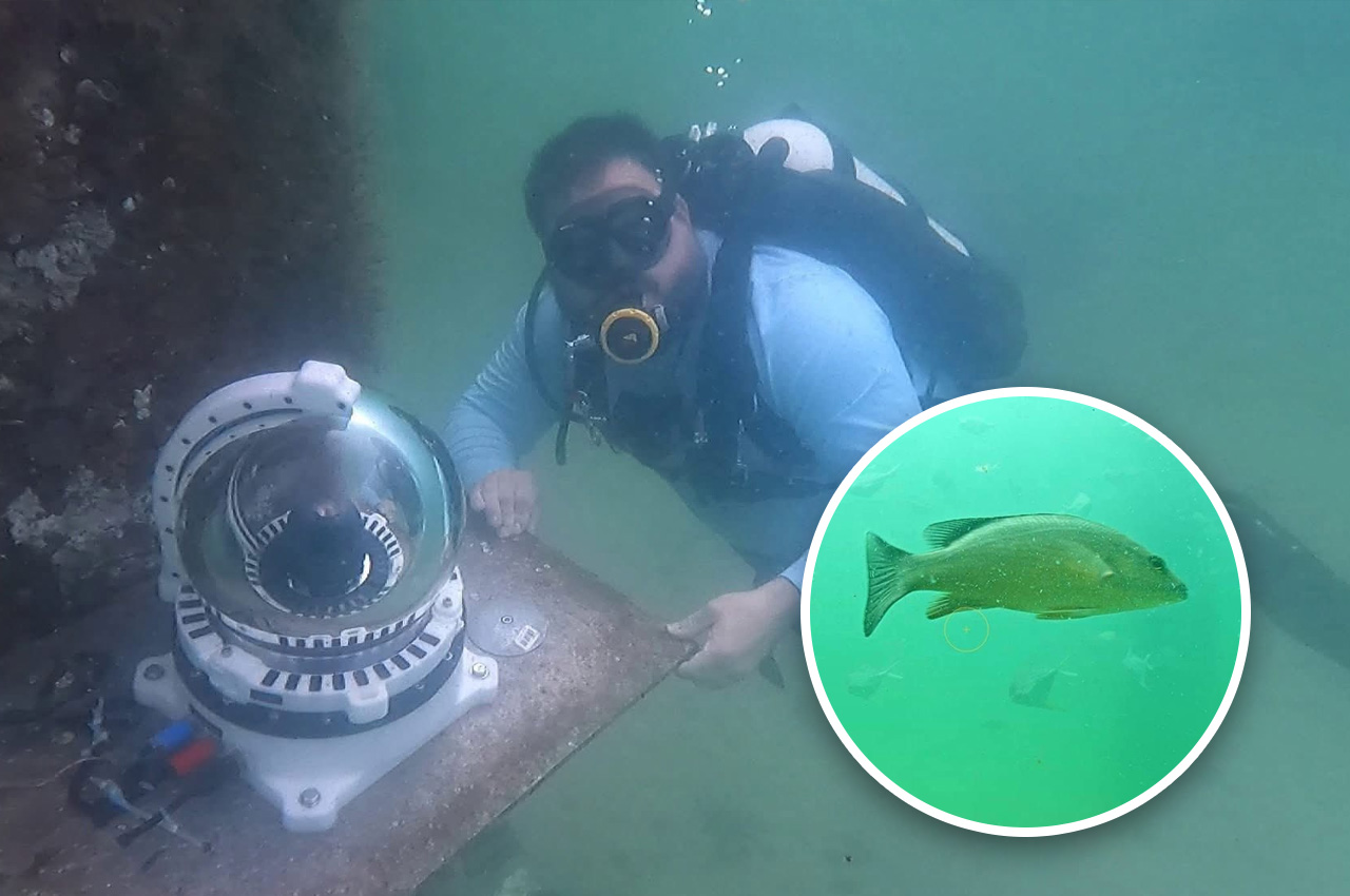 Okaloosa County approves live-stream underwater camera installation at ...