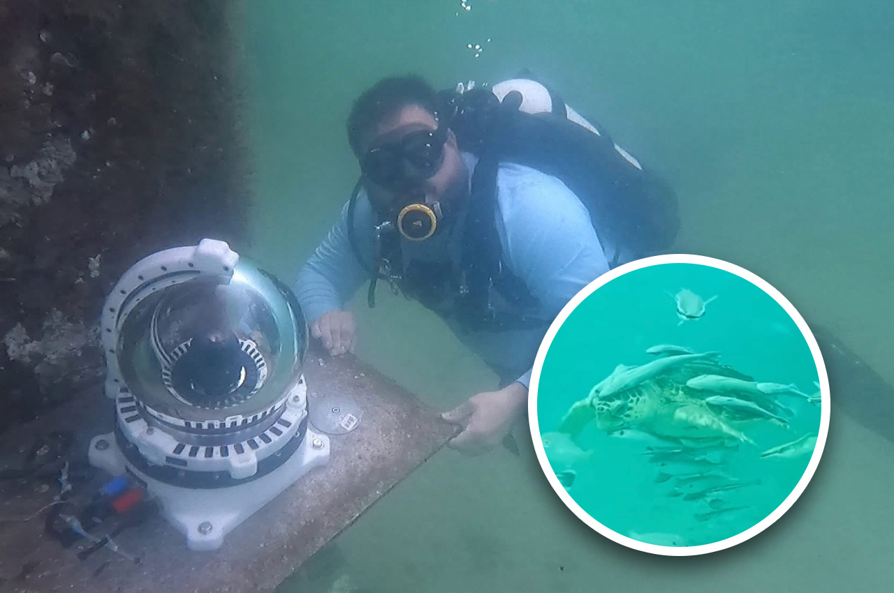 Okaloosa Island Pier underwater camera draws nearly 2 million viewers ...