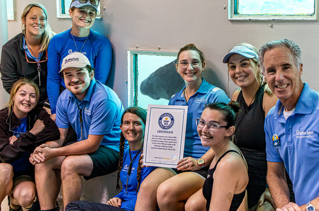 Gulfarium's Romeo named oldest manatee ever by Guinness World Records ...